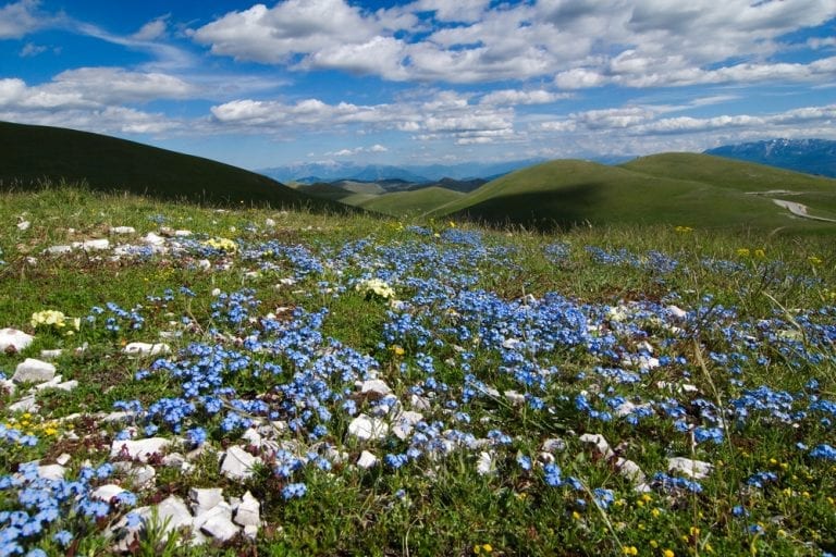 The Best of the Italian Countryside, in Pictures - Walks of Italy