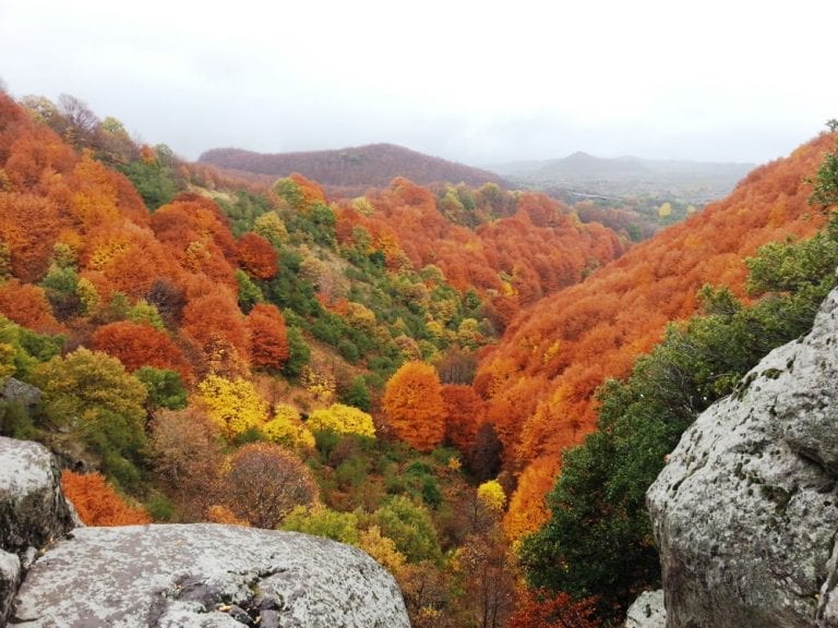 5 Reasons to Visit Mount Etna & What to Know Before You Go